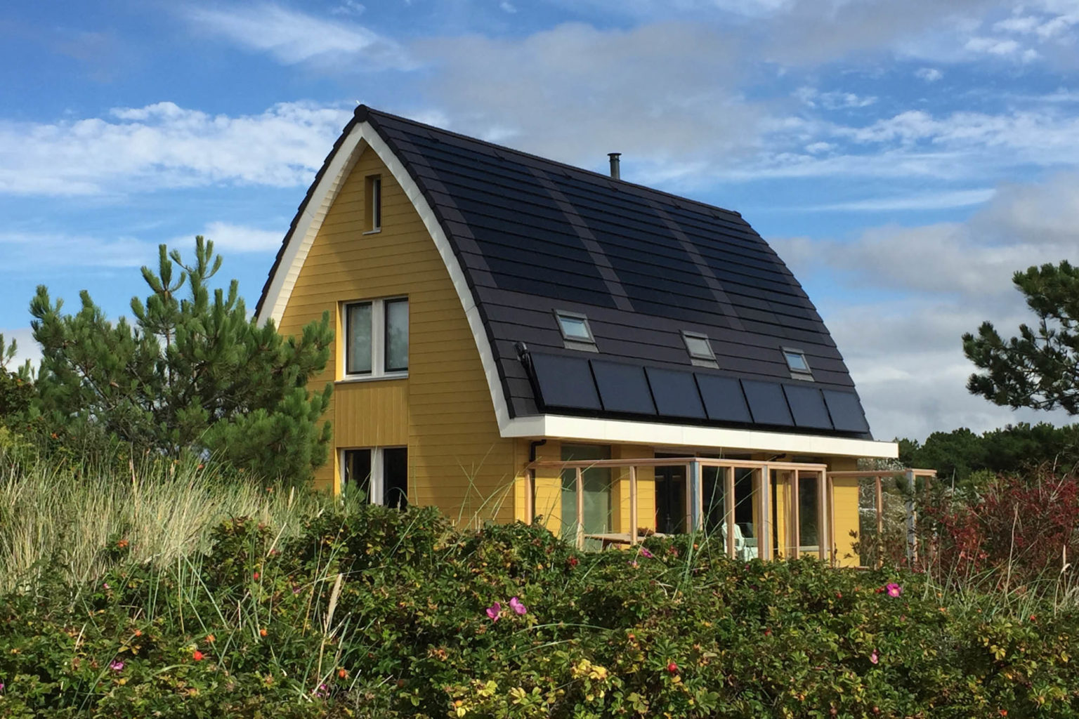 Eco-Logies - Samen Sneller Duurzaam