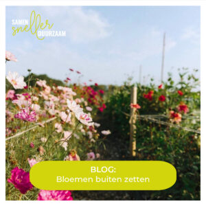 Bloemen buiten zetten - Samen Sneller Duurzaam